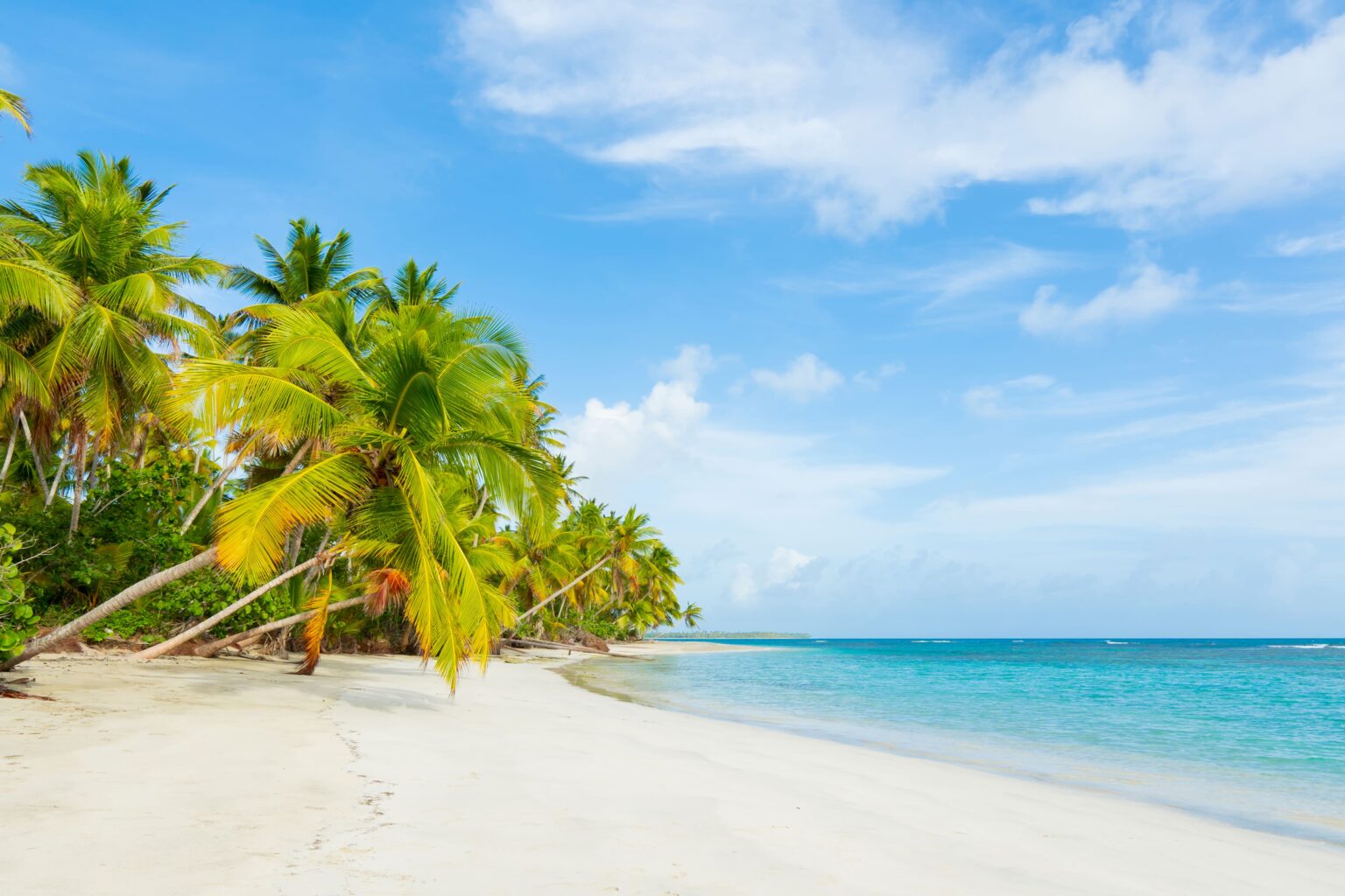 How to fill – Panama Declaration – Welcome to Panama